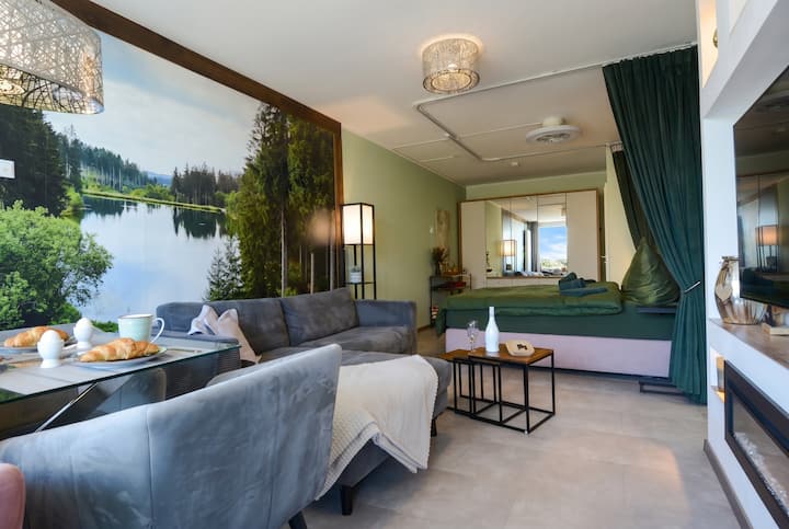 Stylisches Apartment 4sterne Dtv Perfekt Für 4pers - Goslar