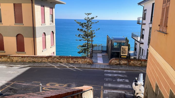 Schweitzer — In Imperia — Via Zara 11 - Imperia