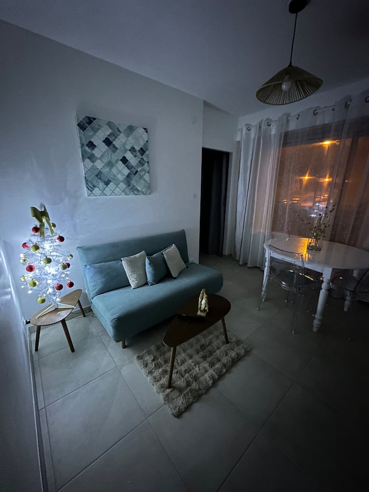 «Le Chaleureux» -10min Du Centre De Strasbourg - Lingolsheim