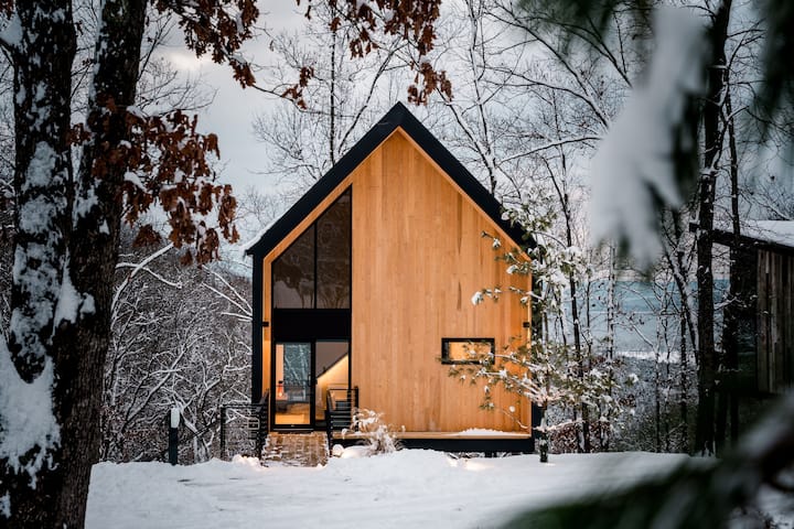 Luxury Lakeview Treehouse • Stunning Views • Lake - United States