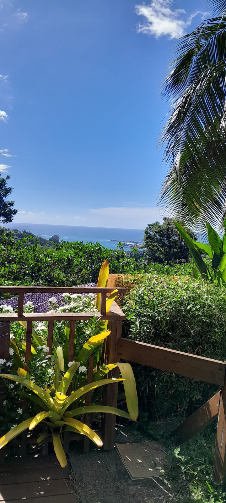 Little Bungalow A Few Ft. Above The City. - Tahiti