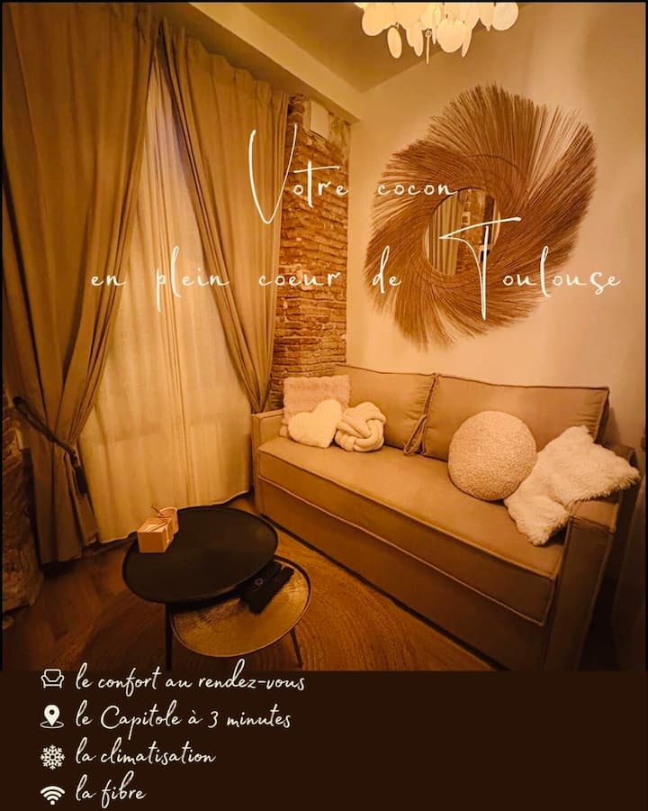 Le Petit Hôtel De Laura – Cosy, Parking & Netflix - Toulouse