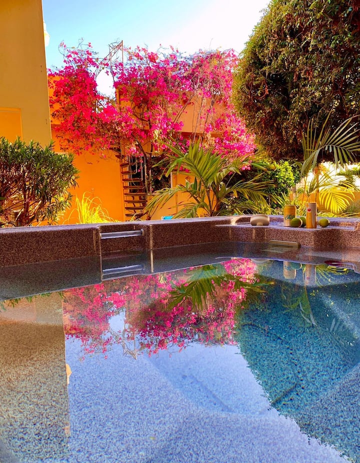 Studio, Walk To The Beach! King Bed. Costa Caribe - Aruba
