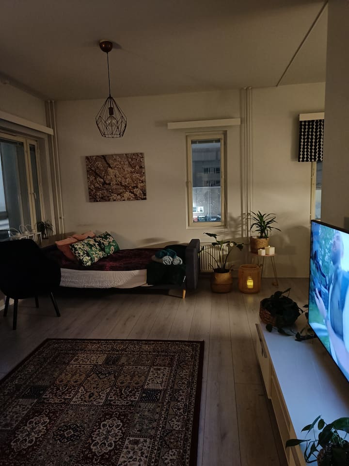 Moderni Asunto Keskustassa, 2 Makuuhuonetta 80m² - Rovaniemi