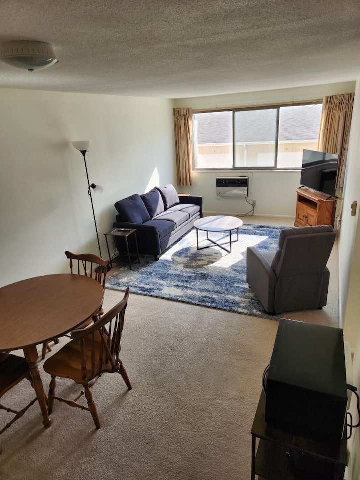 Quiet, Comfortable One Bedroom Apartment - Cedar Rapids, IA