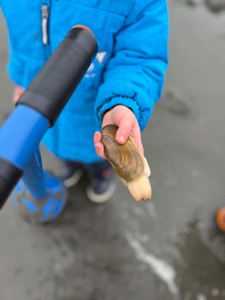 Cozy Vibes, Hot Tub, Ev Charger, 1mi To Beach - Westport