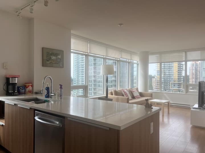 Central Location 2br&2bt Mall And Trainsit - New Westminster