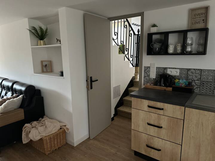 Maison Familiale Dans Le Gers 12 Personnes - Gers