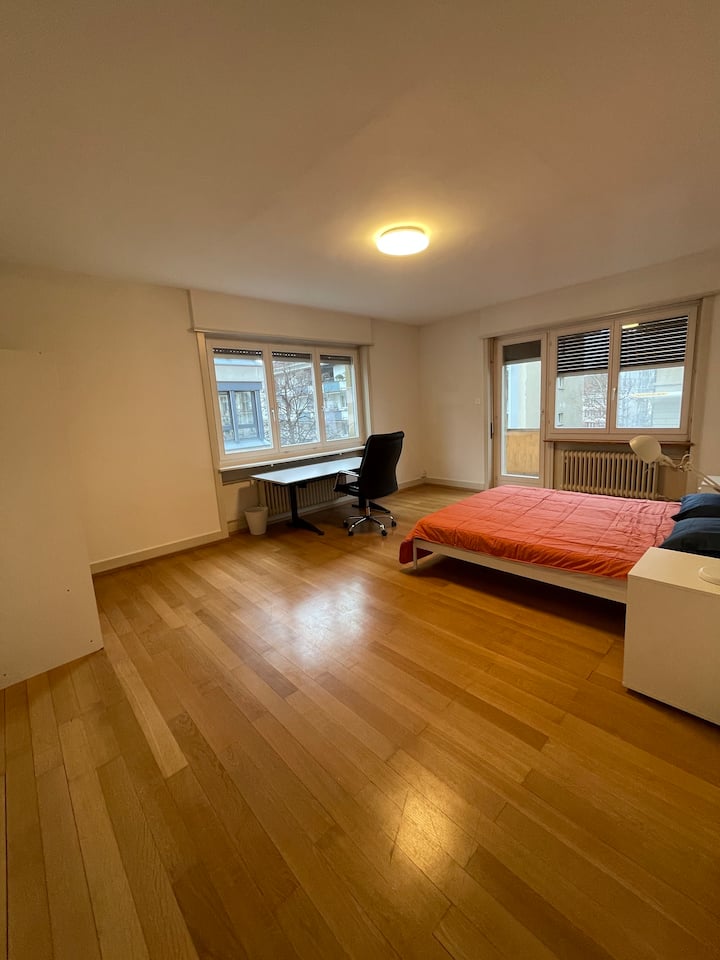 Seefeldstrasse Room 5 Interimhomes Zurich - Zurich