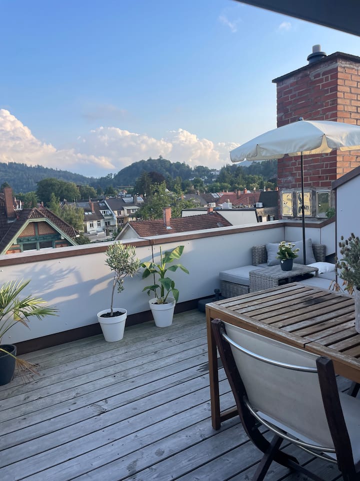 Bright Flat With Rooftop Terrace - Fribourg-en-Brisgau