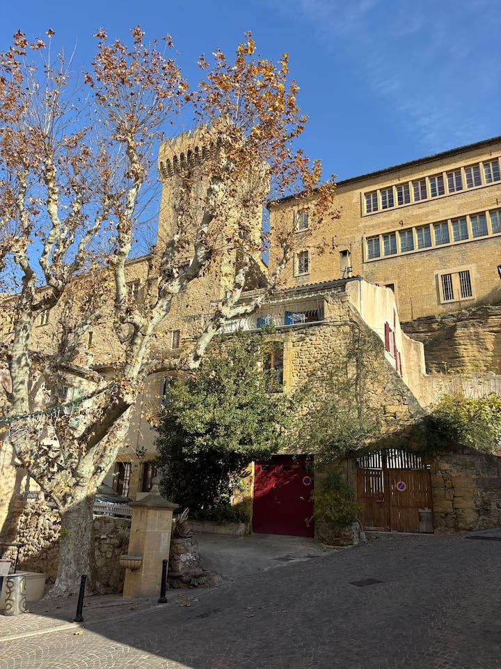 Studio ô Château - Salon-de-Provence