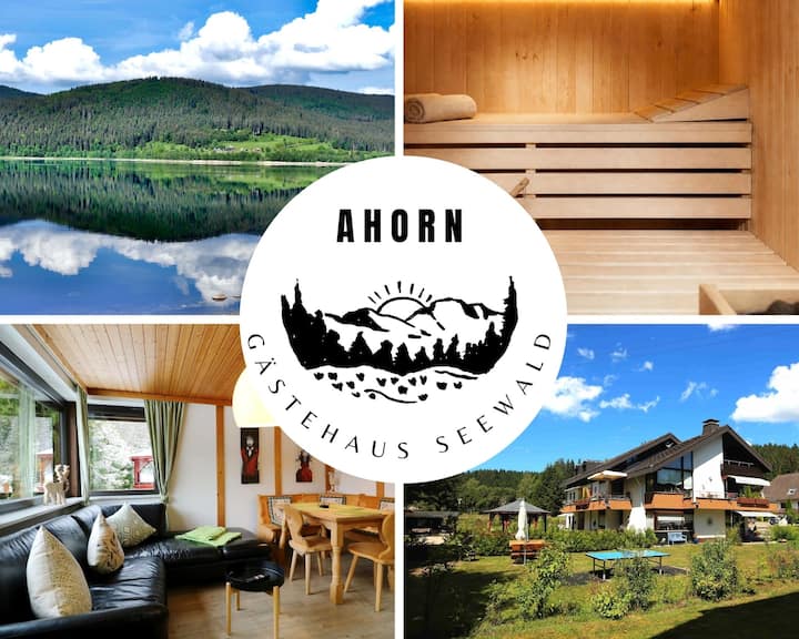 Guesthouse Seewald - "Ahorn", Schluchsee-blasiwald - Schluchsee