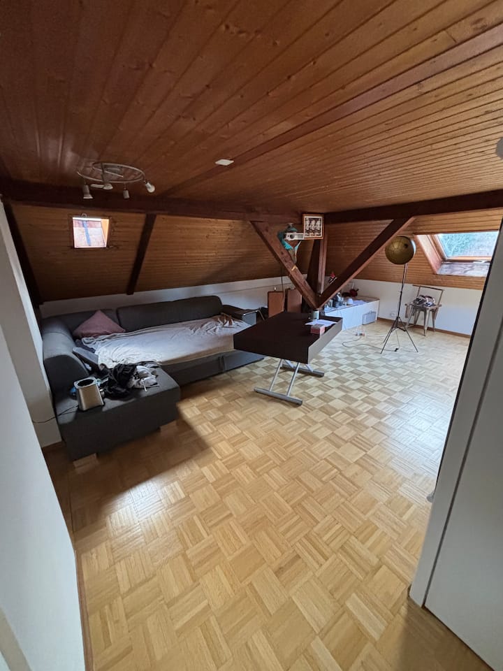 Appartement Gare Ouchy Lausanne - Lausanne