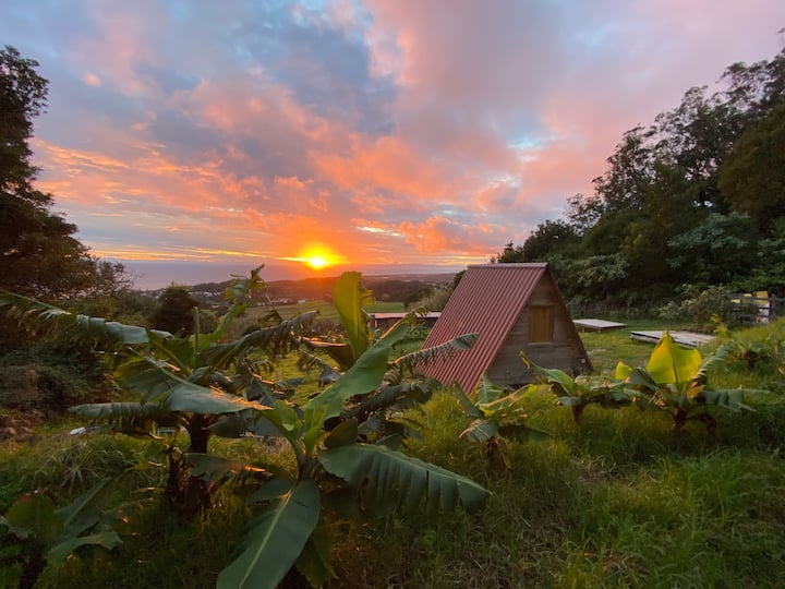 Exotic Eco Farm A Cabana - Angra do Heroísmo