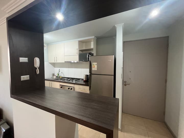 Hermoso Y Amplio Depto. Céntrico Wiffi, Ac, Estc. - Chillan