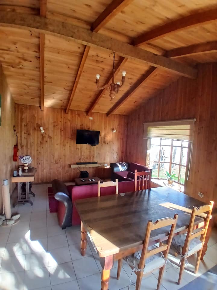 Casa Para 3 Personas,mínimo 2 Noches - Futrono