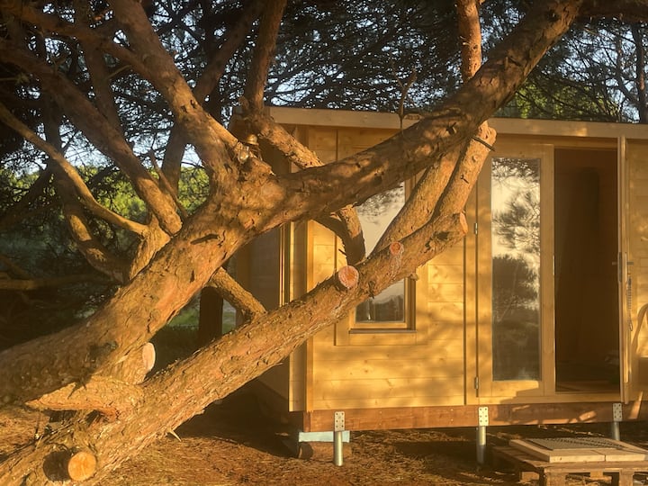 Little House By The Cliffs - Sesimbra