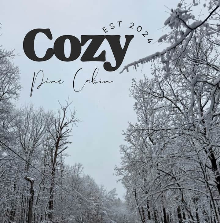 Cozy Pine Cabin - Mount Pocono, PA
