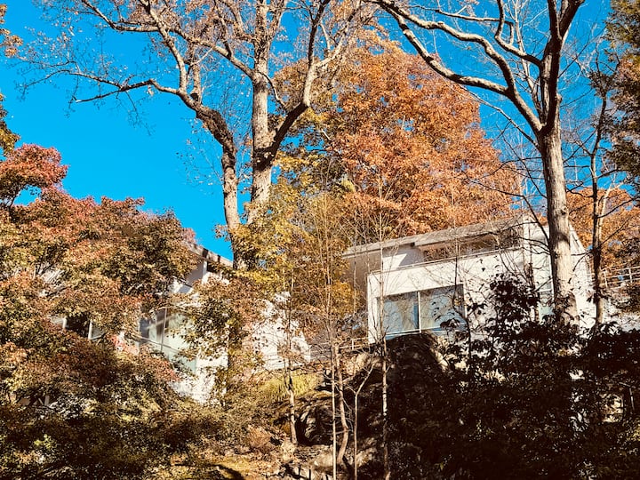 Fabulous Private Sanctuary - Bedford, NY