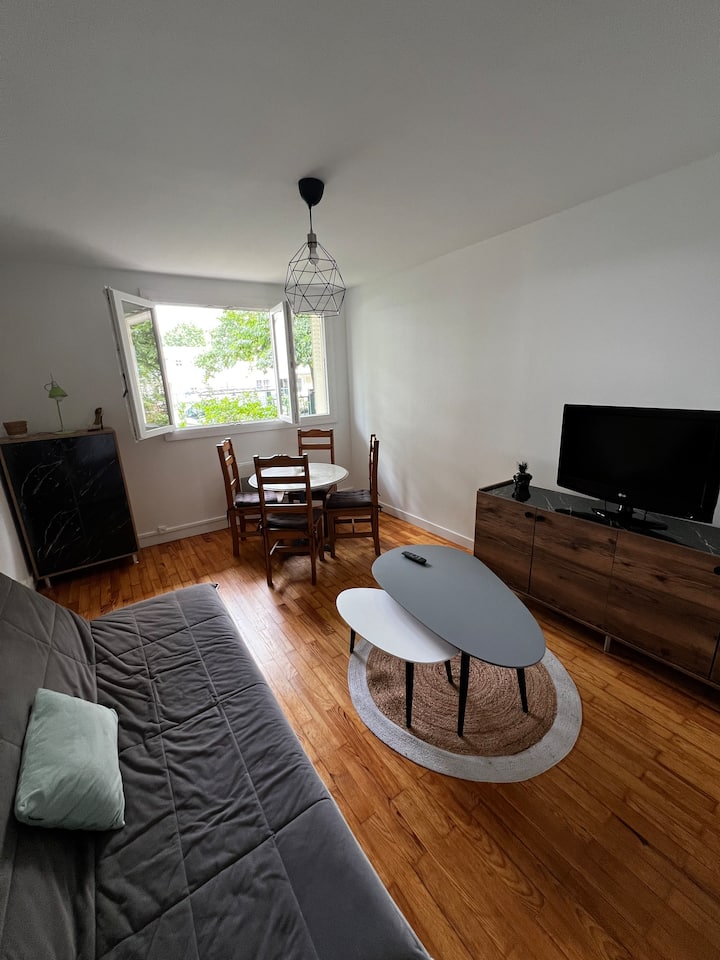 Bel Appartement De Type T3 - Chassieu