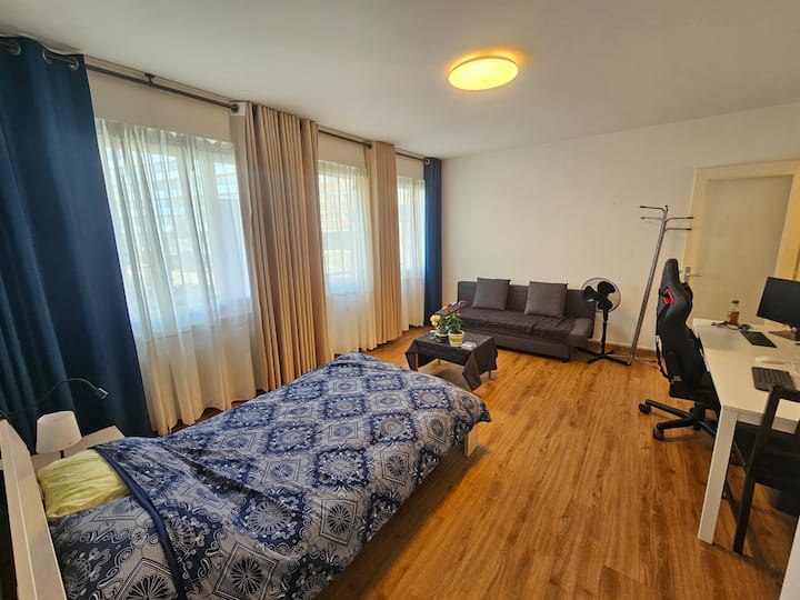 Cozy Studio With Full Amenities - Ginebra