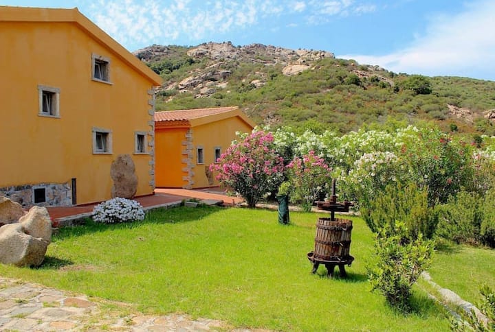 [Agritrulli Costa Smeralda] - Arzachena