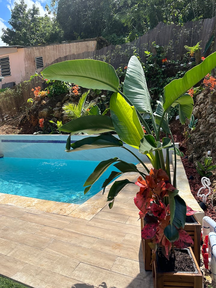 La Casita -Arecibo's Hidden Gem - Puerto Rico