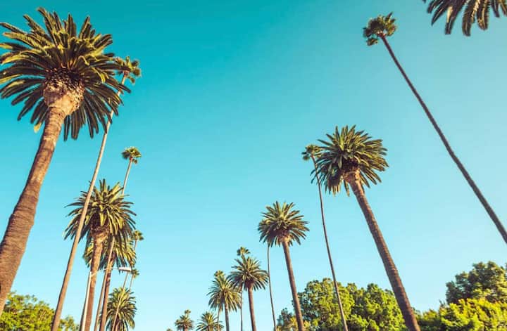 Prime Location! Luxury & Style In Heart Of It All! - West Hollywood, CA