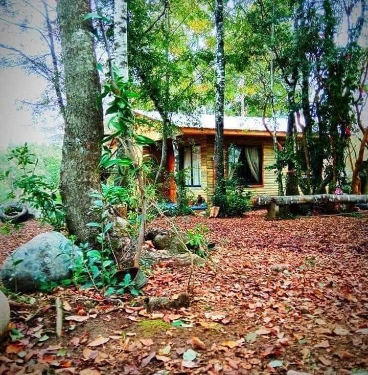 Cabañas - Arauco