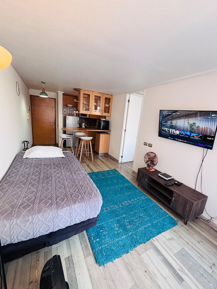 Providencia Apart For 3 Near Salvador Metro Wifi - Chile