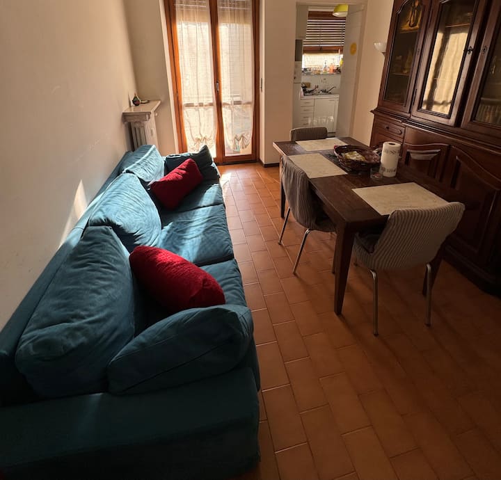 Bright Big Room (2bathrooms) Near Center&lingotto - Turin