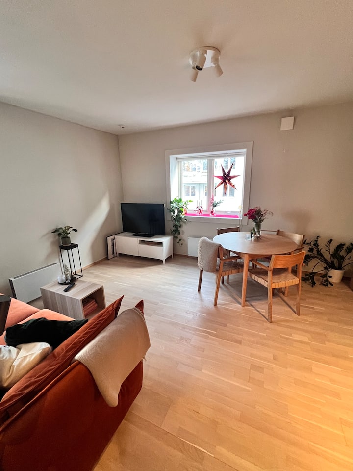 Koselig Leilighet Nært Sentrum - Oslo