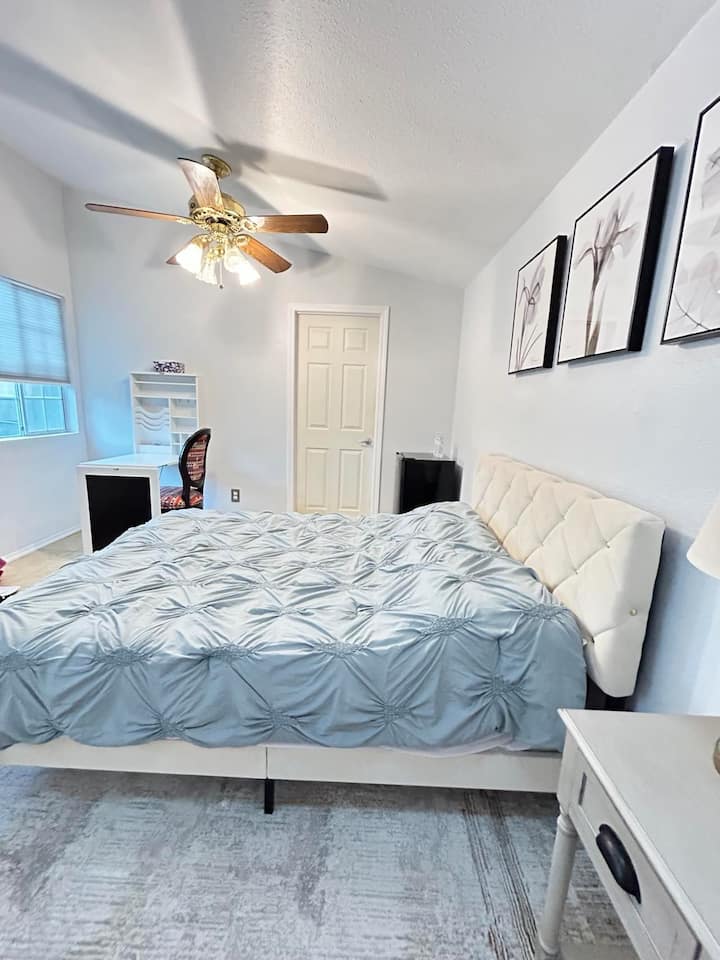 Modern Minimalism: Central Charm - Olympia, WA