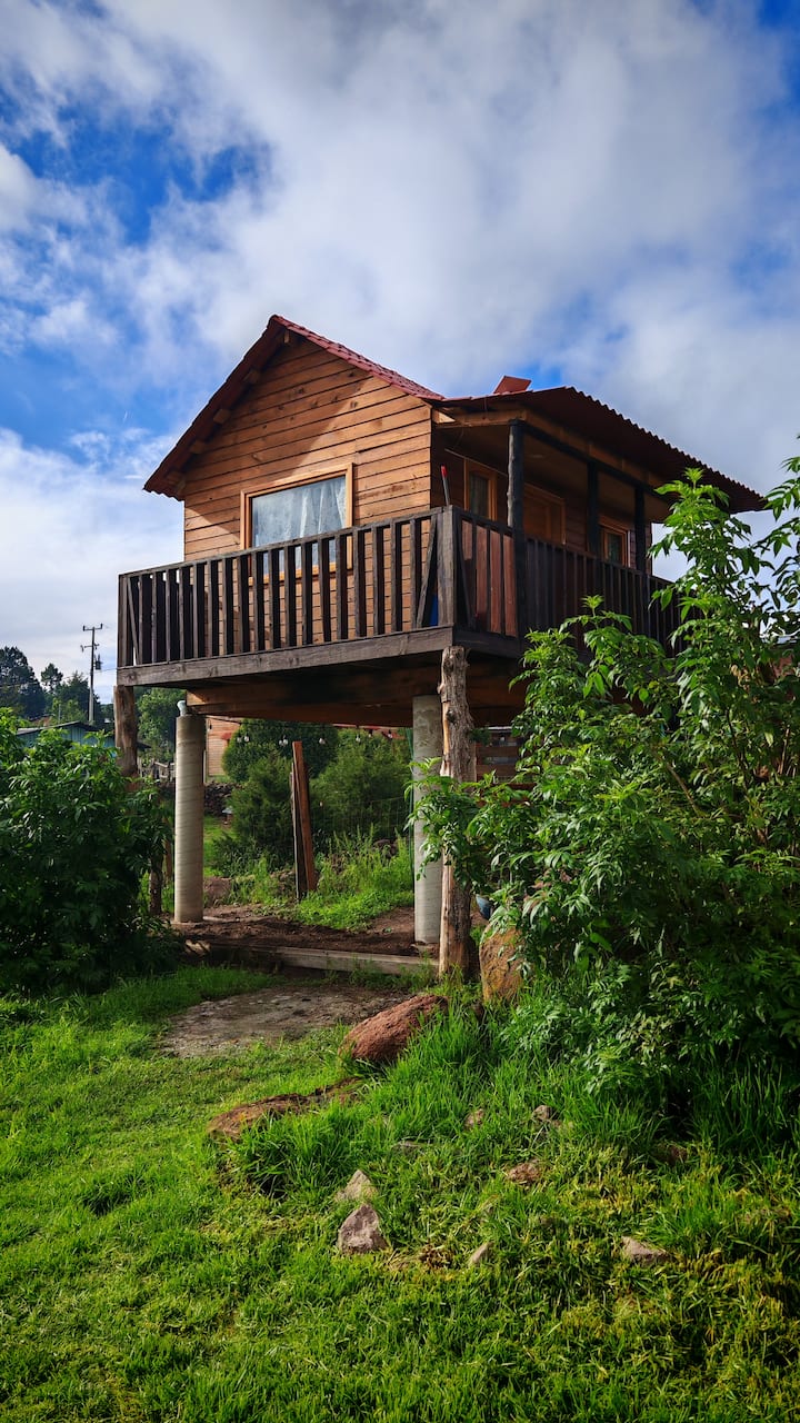 Cozy Little Cabin Near The Woods - Durango