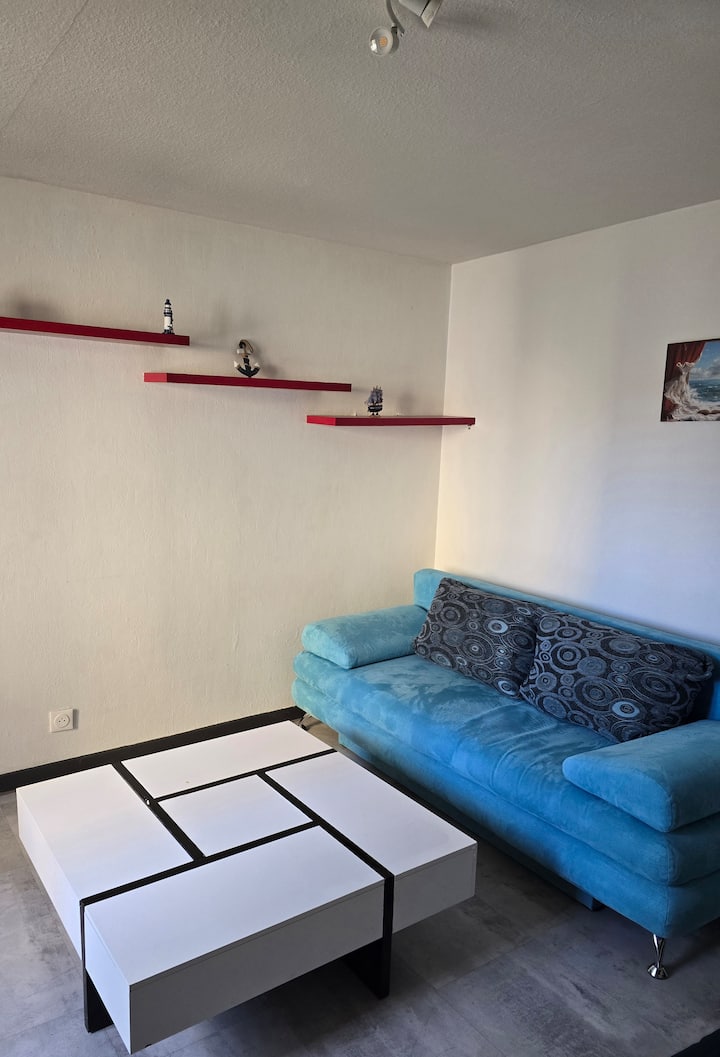 L’océan/ 300m Gare-centre / Wifi / Parking - Belfort