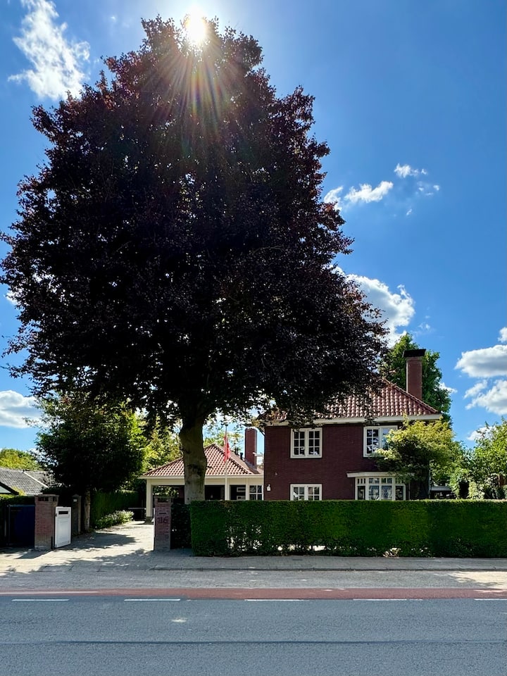 Rust, Ruimte, Natuur, Nabij Eindhoven - Noord-Brabant