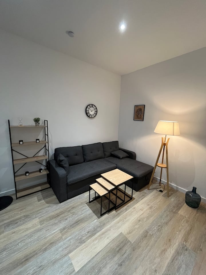 Charmante Maison De Courée - Gare de Lille Europe - Euralille