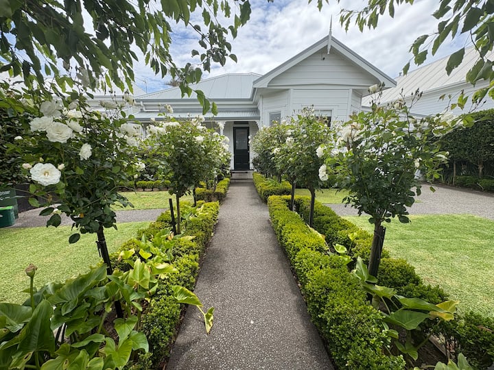 Hine Street - New Plymouth