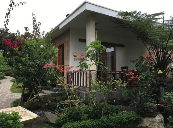 Avocado House - Munduk