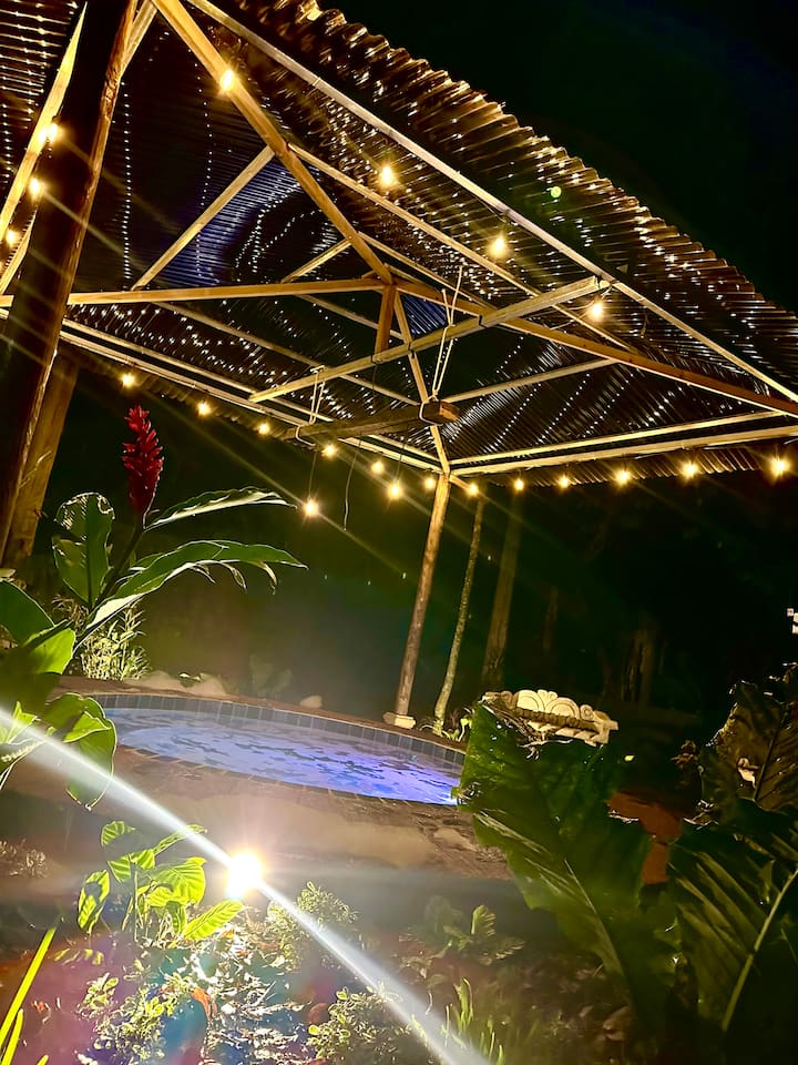 Finca Vita Nova Casa Cedro - El Nuevo Palmar
