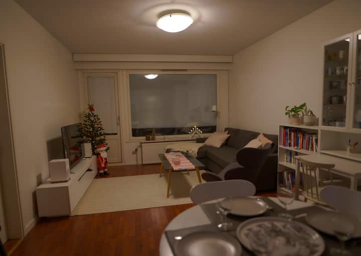 Cosy Appartement - Rovaniemi
