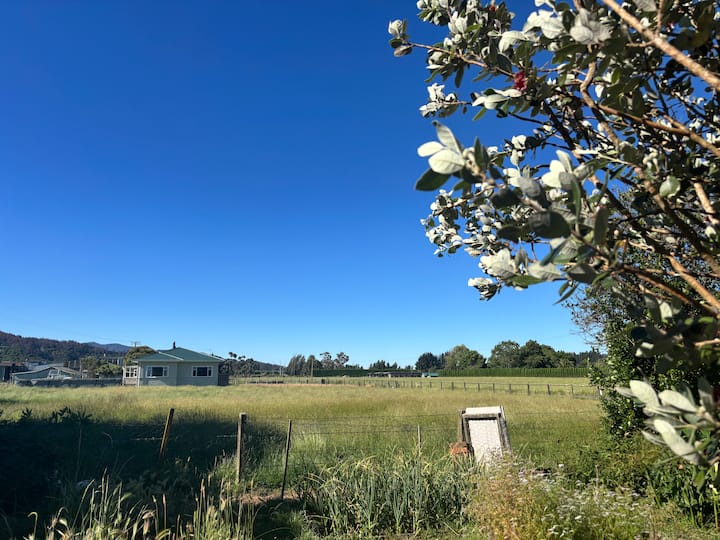 Sunshine & Bananas - Motueka