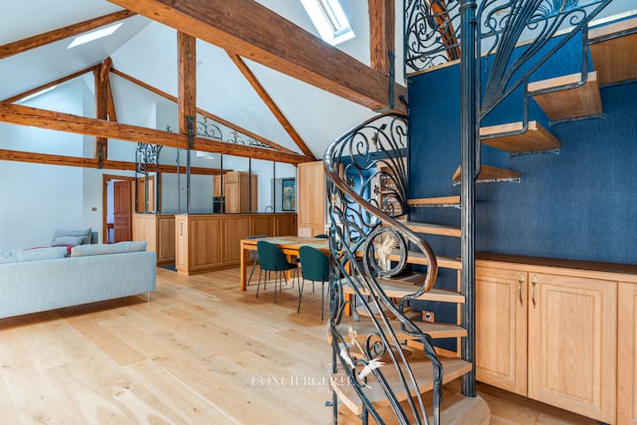 Logement Spacieux Au Centre De Strasbourg Luxueux - Strasbourg