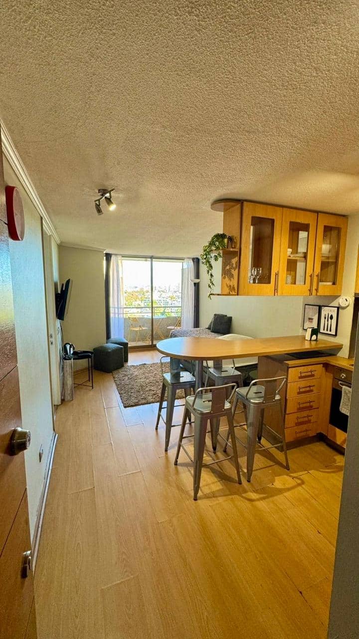 Providencia Apart 3 Near Salvador Metro Fast Wifi - Chile