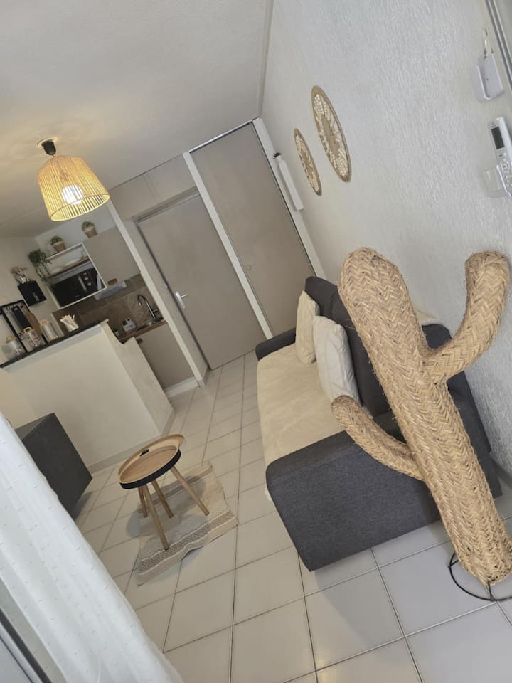 Appartement T1 Argeles Sur Mer - Argelès-sur-Mer