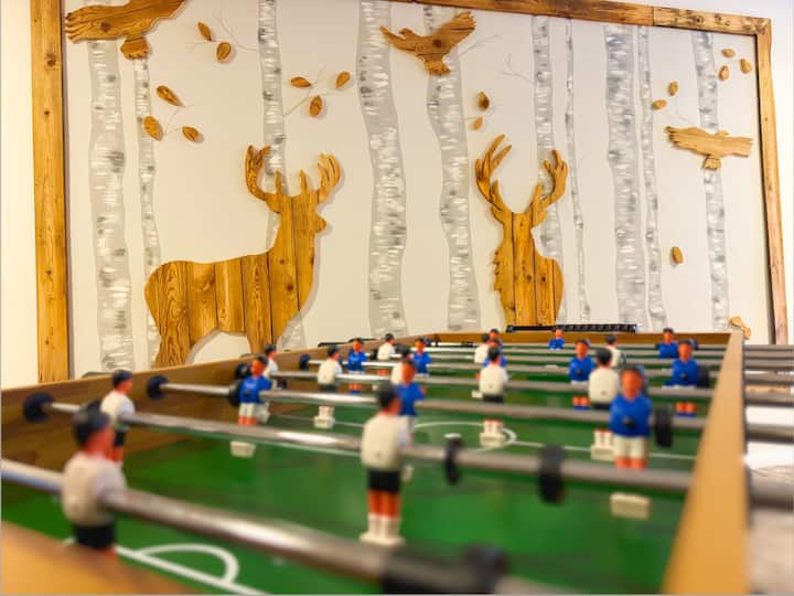 Haus ·Kicker/dart· Natur· Alleinlage ·Hund - Sulingen