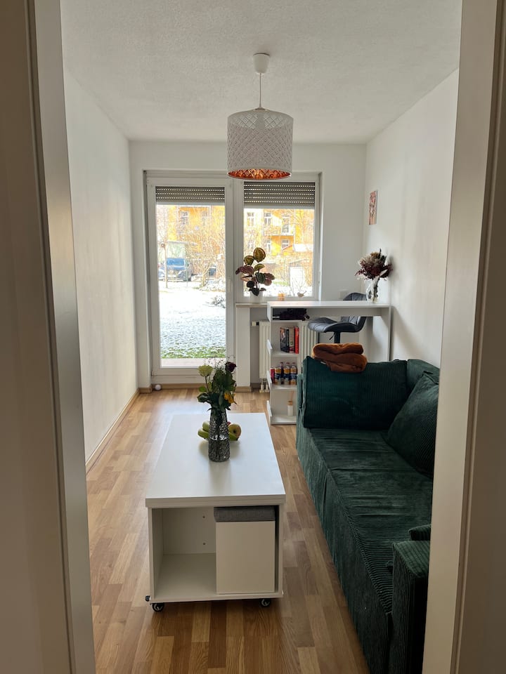 3-zimmer Altstadtwohnung - Dresden