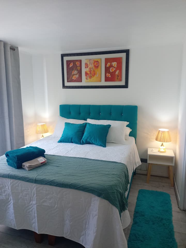 Santo Domingo 2 Bellas Artes,santiago Centro,metro - Santiago