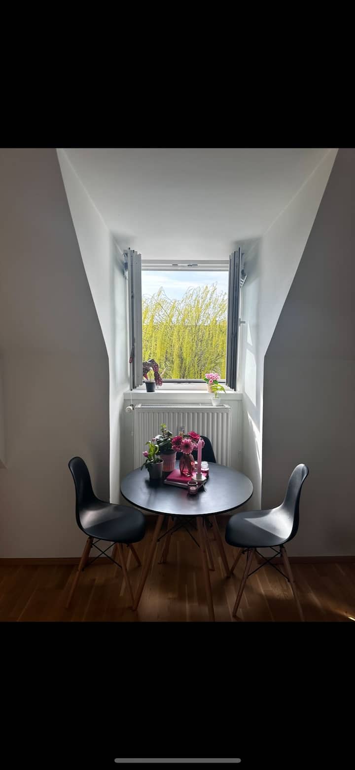 Moderne Helle Unterkunft In Linz - Linz