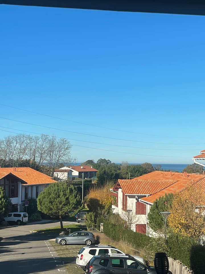 Magnifique Appartement Climatisé 300 M De La Plage - San Juan de Luz